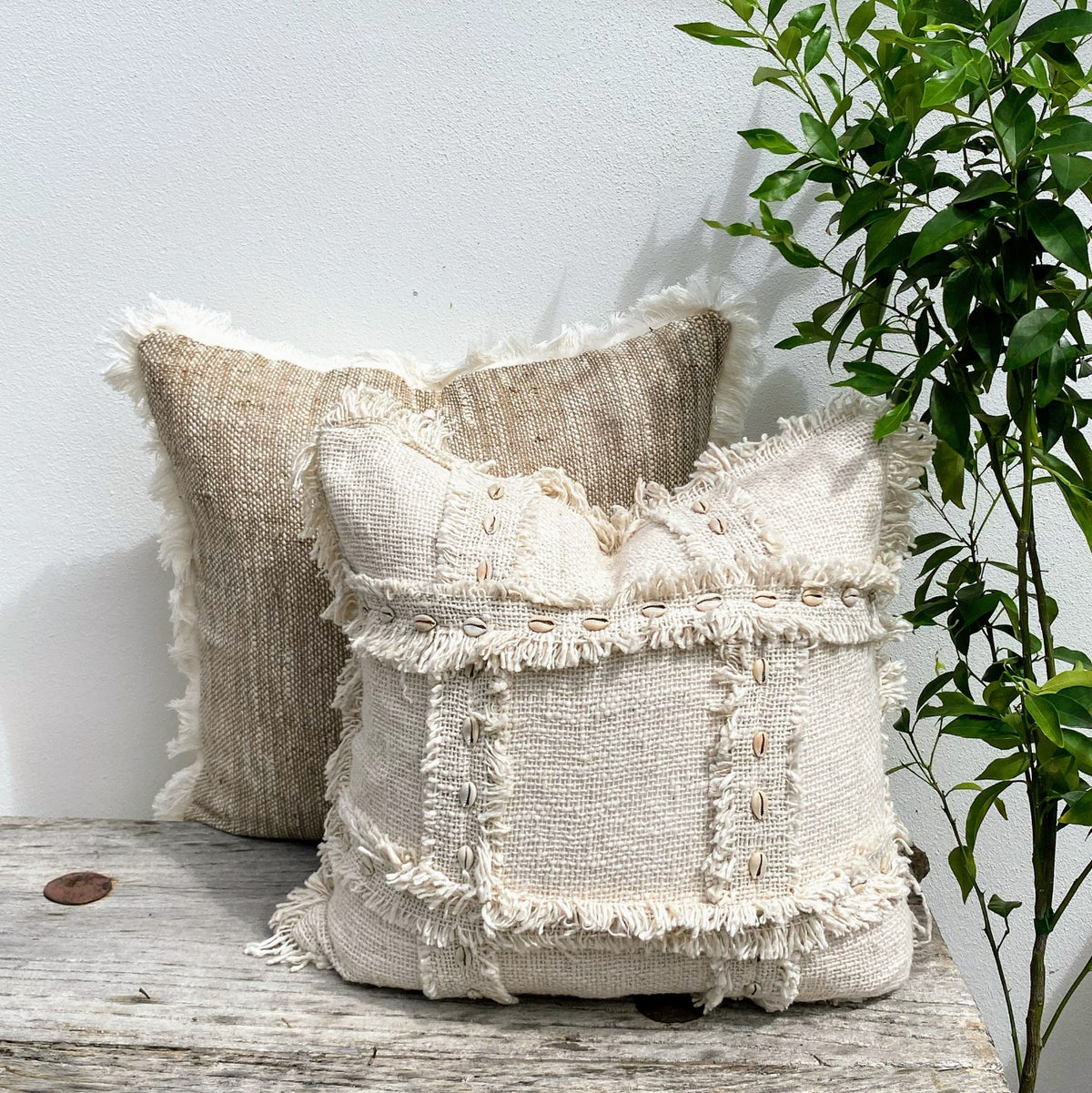 Shell Cushion - White and Natural - Square - 45x45cm - Decorative ...