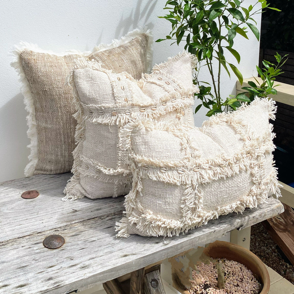 Beachy Natural Set of 3 Cushions- Ubud Cowrie Shell Raya